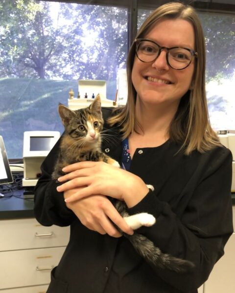 Veterinarian In Plymouth, MN 55447 | Cats Preferred Veterinary Hospital